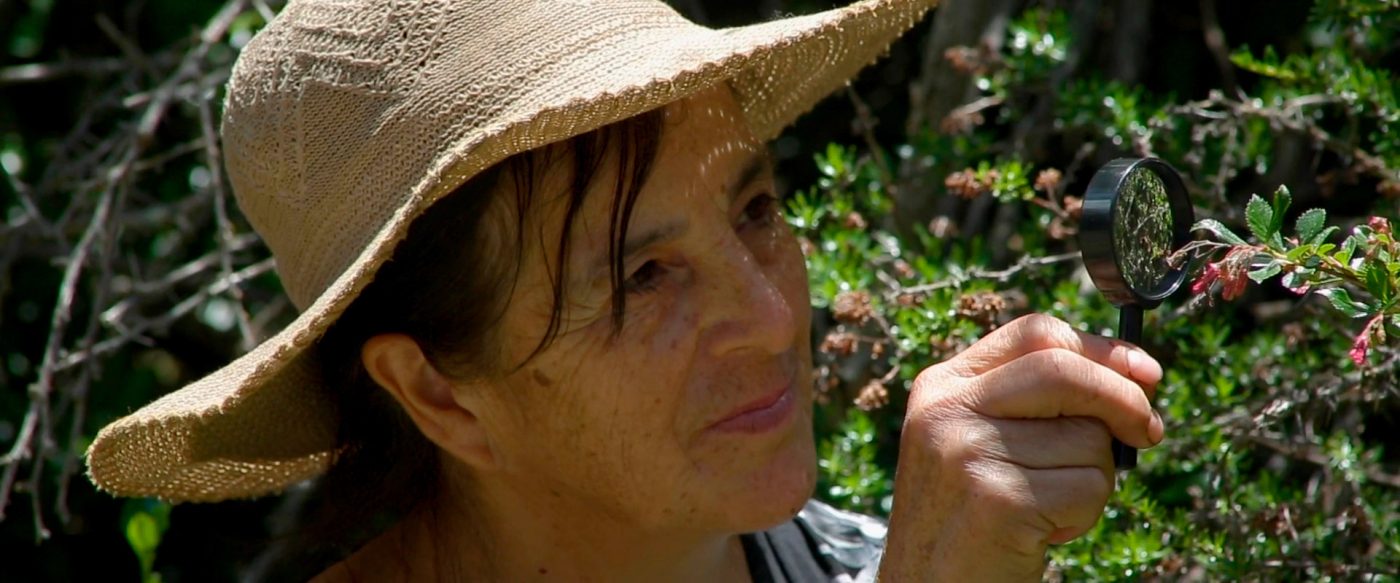 Corto Documental: “Explorando el Jardín del Baker” | Oficios Varios
