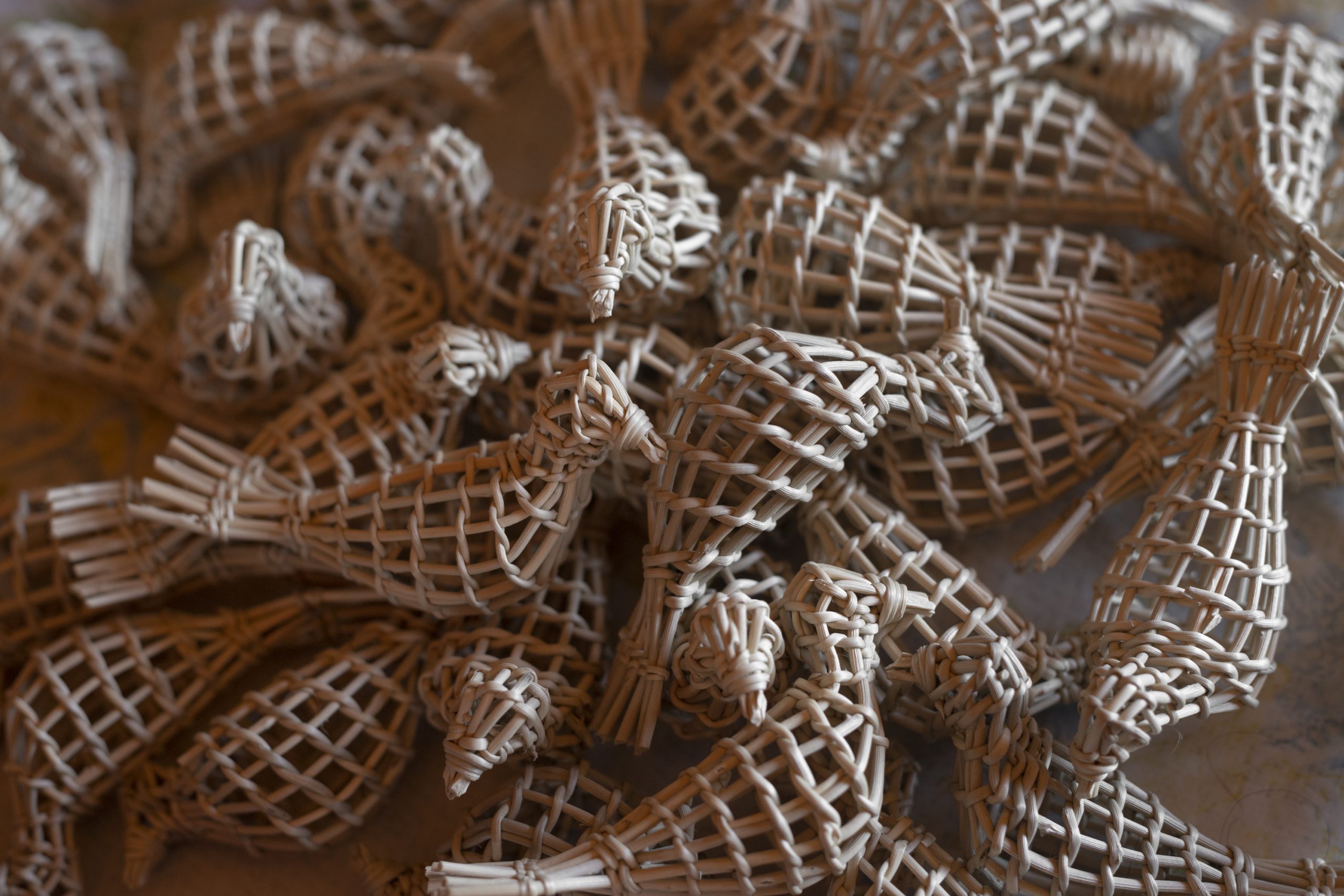 Cestería en el Wallmapu, entrelazando fibras y memorias | Oficios Varios