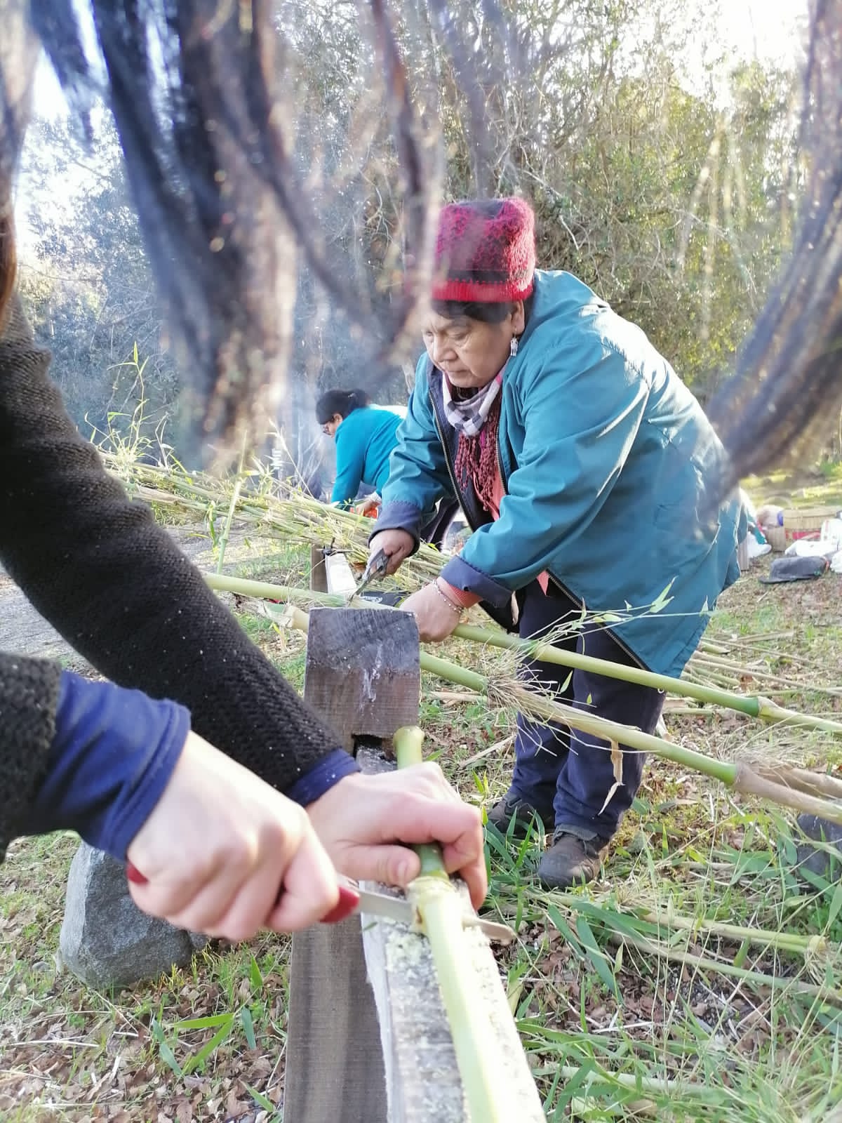Taller de Cestería Tradicional Mapuche del Llepu con los Maestros Pablo ...