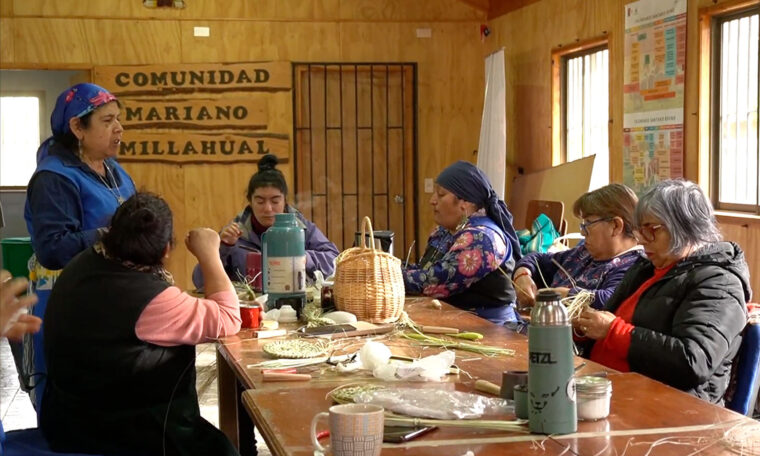 Tercer Taller de Cestería Tradicional del Llepu: continuidad ...