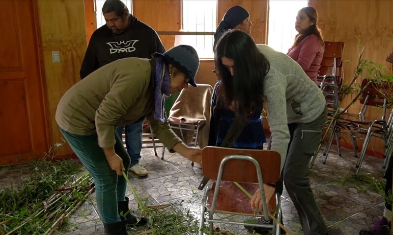 Tercer Taller de Cestería Tradicional del Llepu: continuidad ...